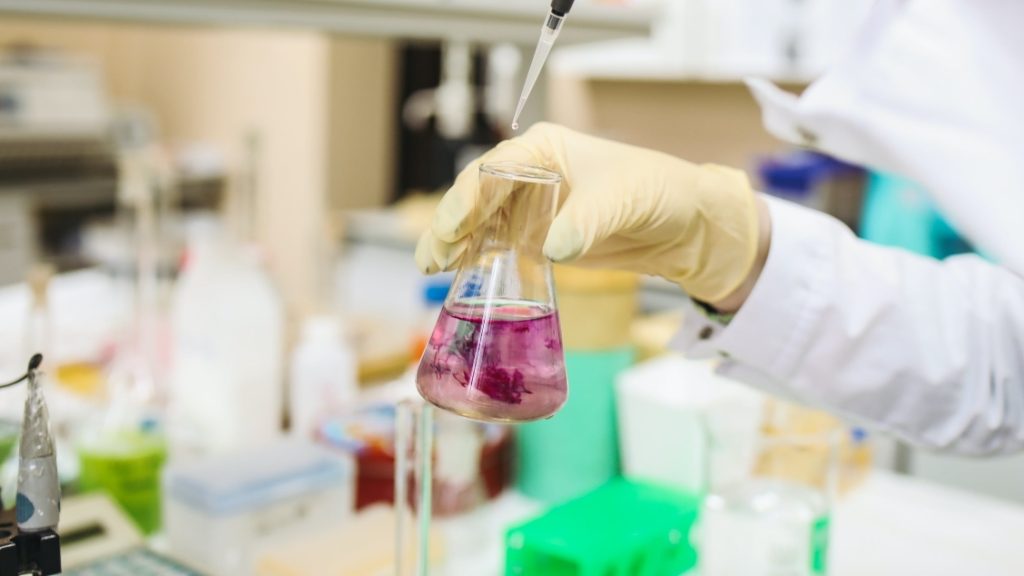 RNA Biology and Plasticity—Interview with Dr. John Mattick - MDPI Blog