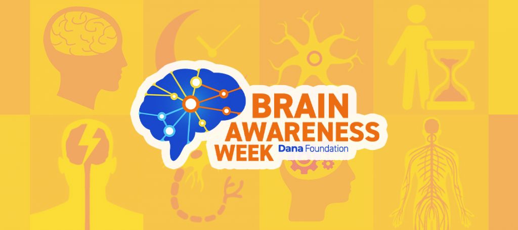 Brain Awareness Week—Celebrating Its 26th Anniversary - MDPI Blog