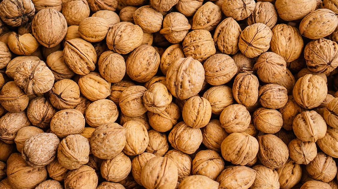 Walnuts Found To Improve Brain Function In Academics MDPI Blog Walnuts Found To Improve Brain Function In Academics MDPI Blog