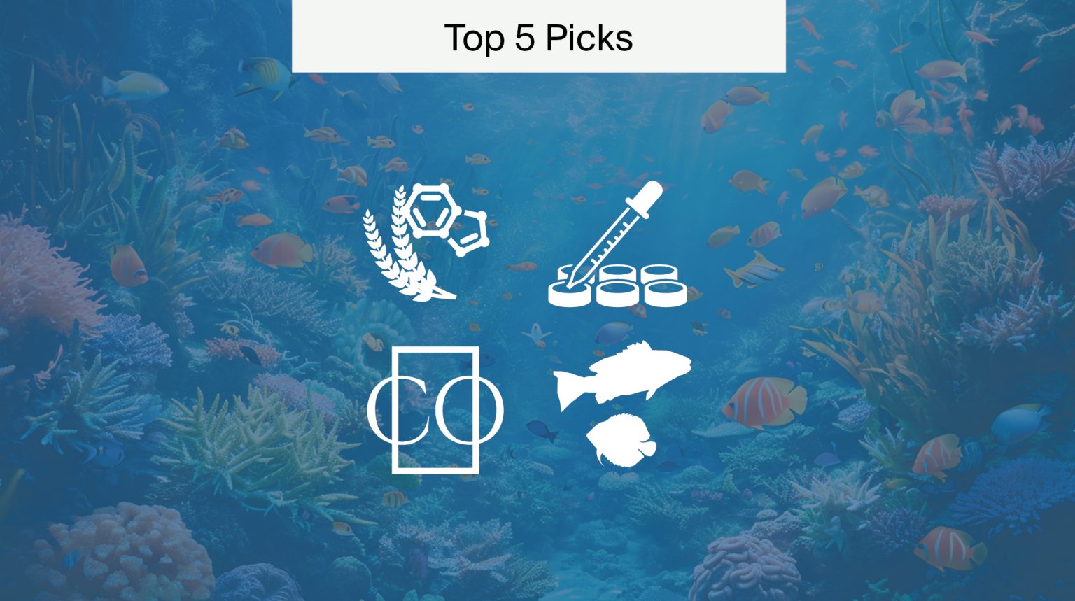 Insights from MDPI Top 5 Picks: March and April 2024 - MDPI Blog