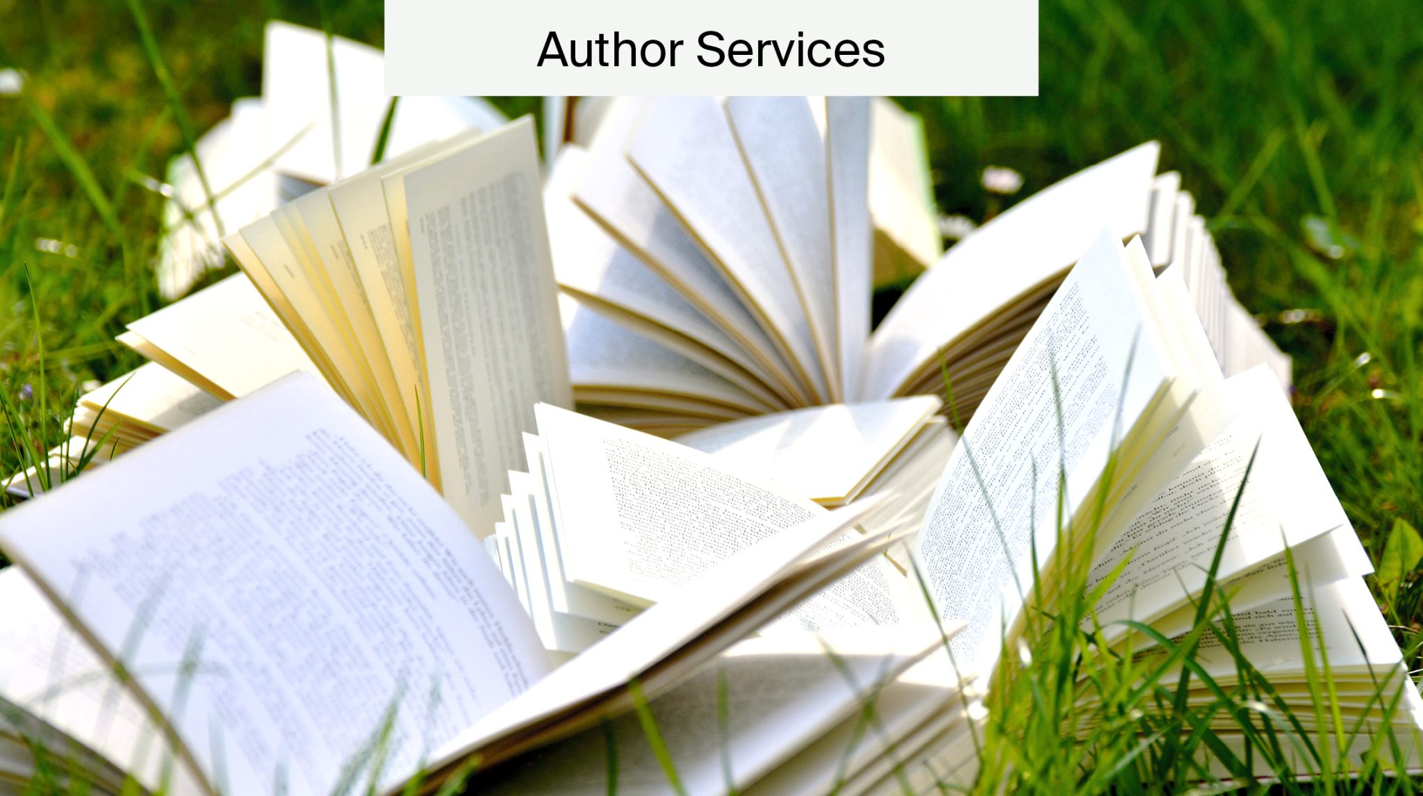Author Services Guide To Sentence Structure - MDPI Blog