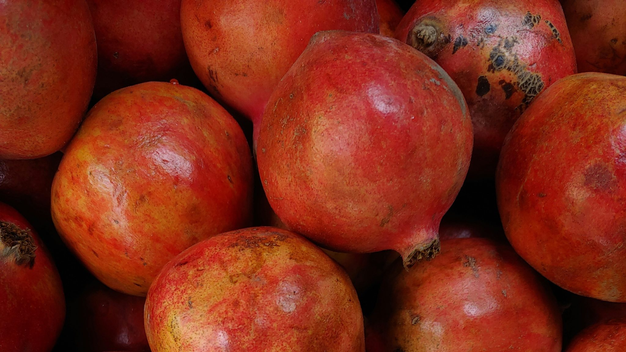 Insights from MDPI Top Picks: August 2024 - MDPI Blog