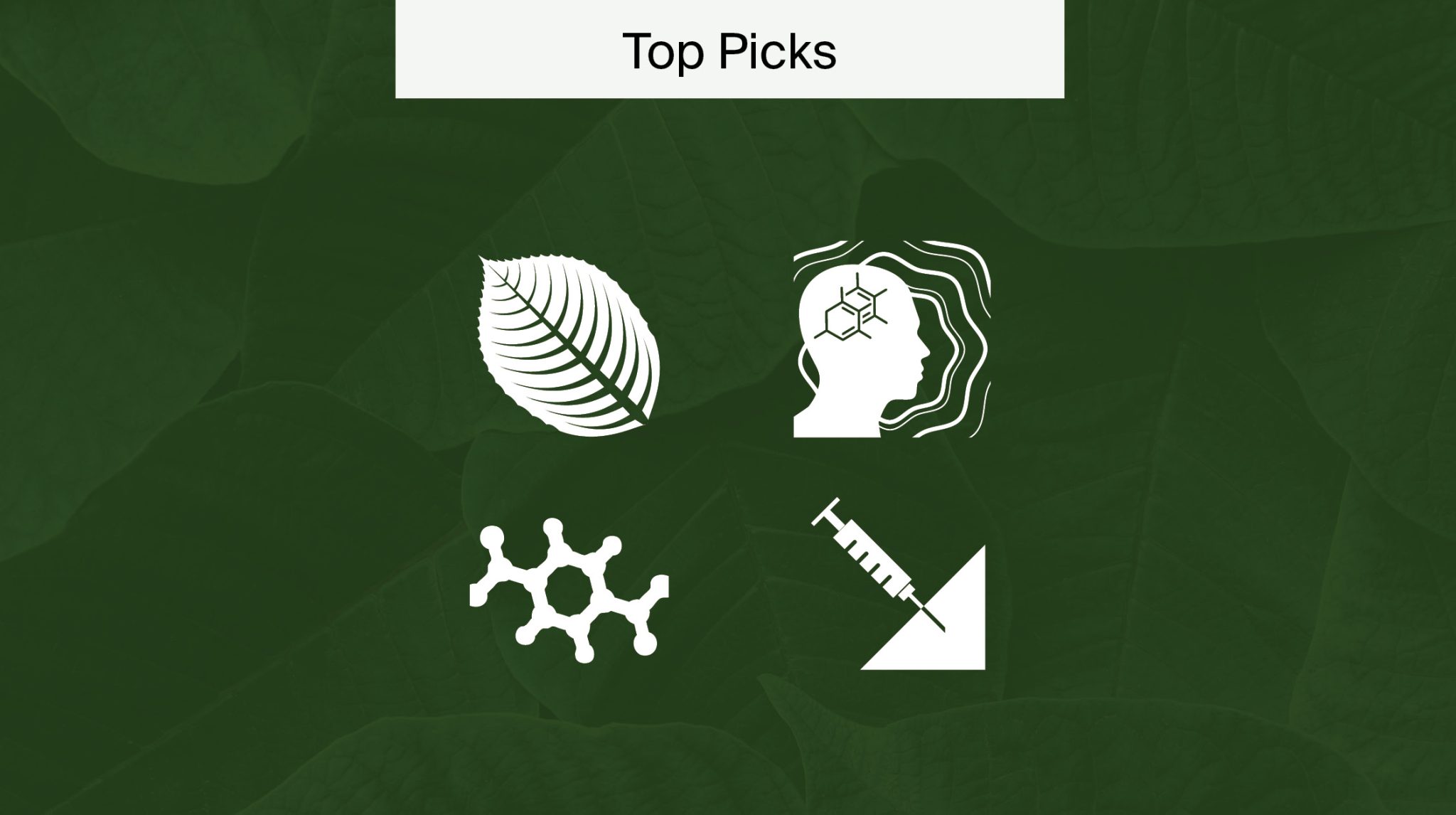 Insights from MDPI Top Picks: September 2024 - MDPI Blog