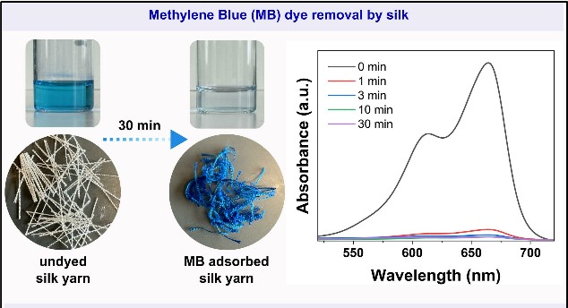 Using Recycled Silk can Help Combat Pollution in Waterways - MDPI Blog